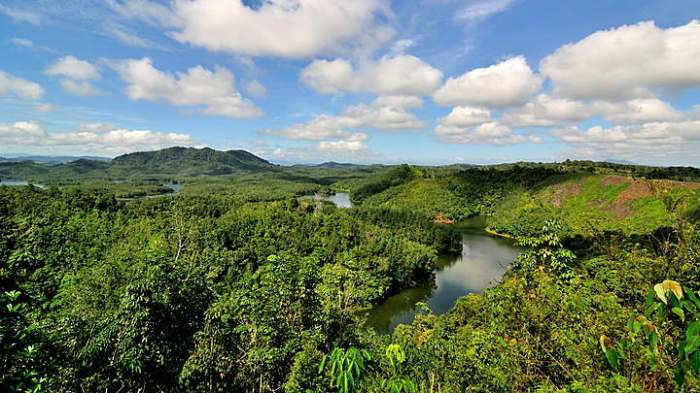 Pesona Alam Dan Budaya Kabupaten Indragiri Hilir: Destinasi Wisata Yang ...