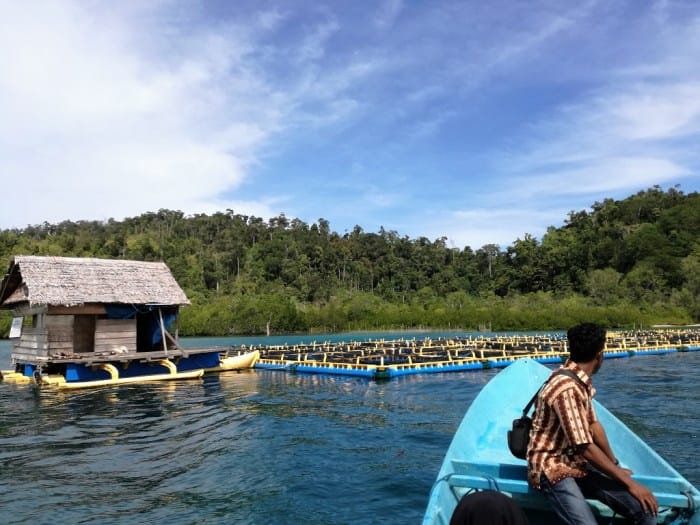 Pesona Wisata Kabupaten Pulau Taliabu Yang Menakjubkan - PULUNG.NET