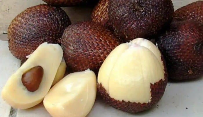 Apakah Salak Pilihan Tepat Untuk Diet Sehat? - PULUNG.NET