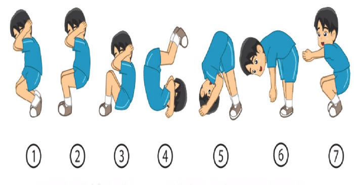 Roll Kip: Istilah Penting Dalam Senam Lantai - PULUNG.NET