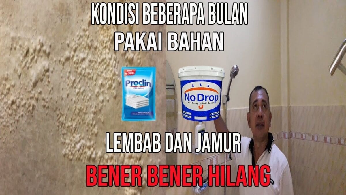 Cara Memperbaiki Tembok Lembab: Panduan Komprehensif - PULUNG.NET